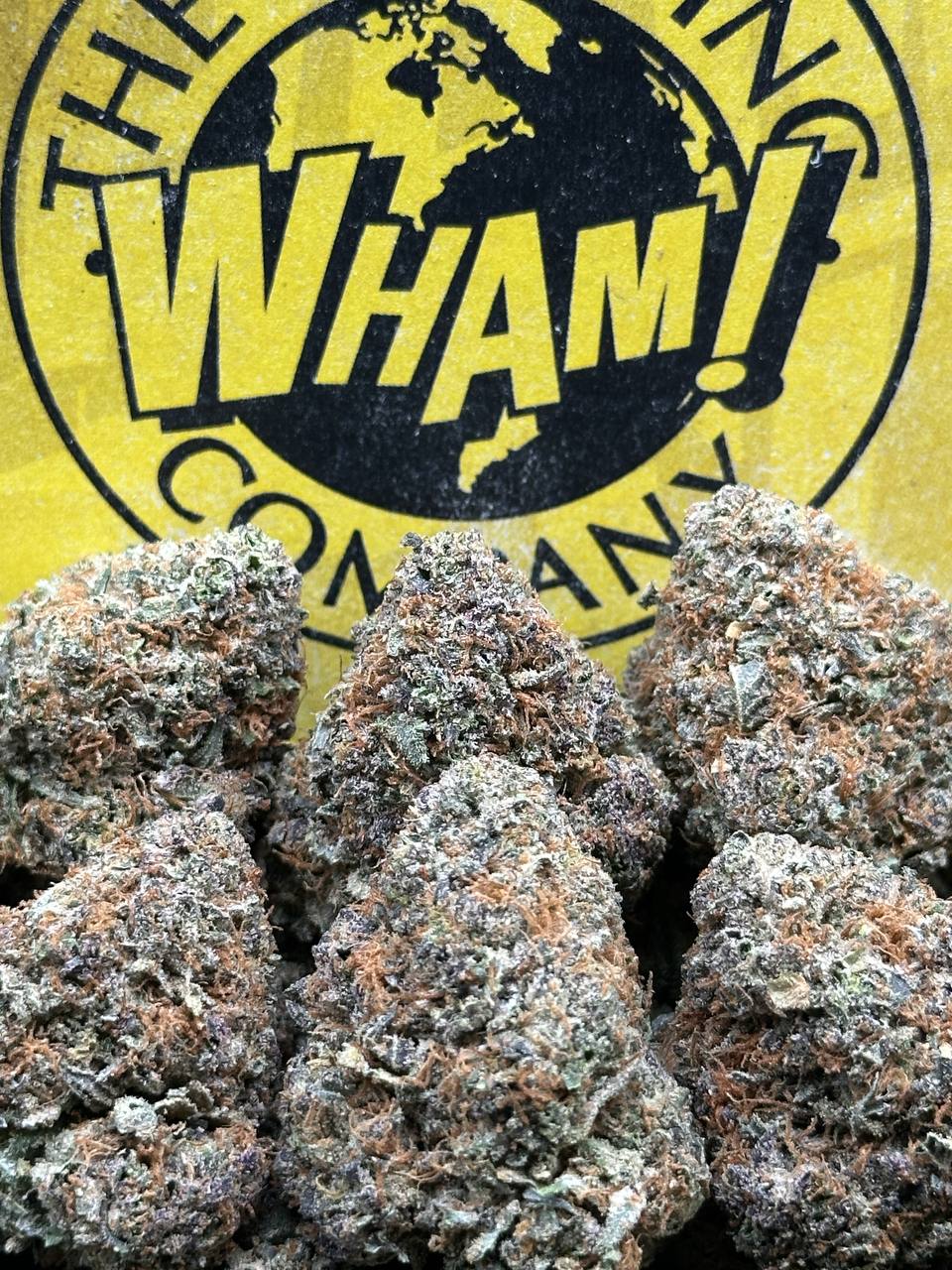 Jet Fuel Runtz (Hybrid) – Bulk WHAM