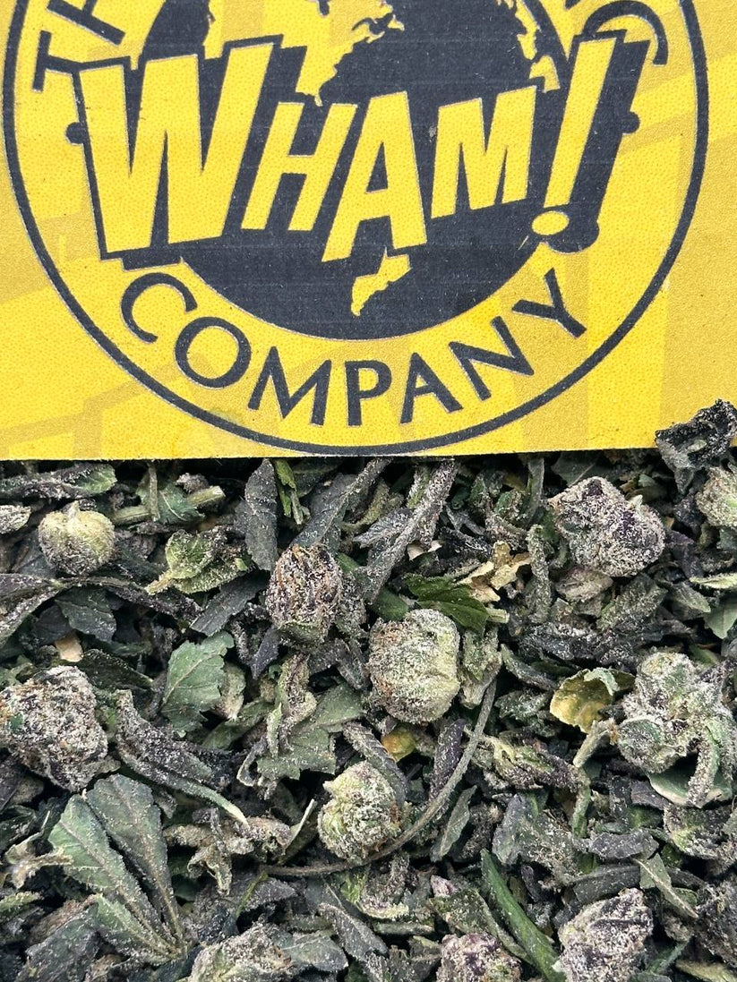 Candy Runtz Shake – Bulk WHAM